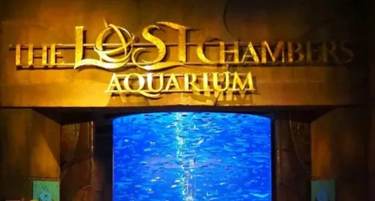 Lost Chamber Aquarium - habtourism